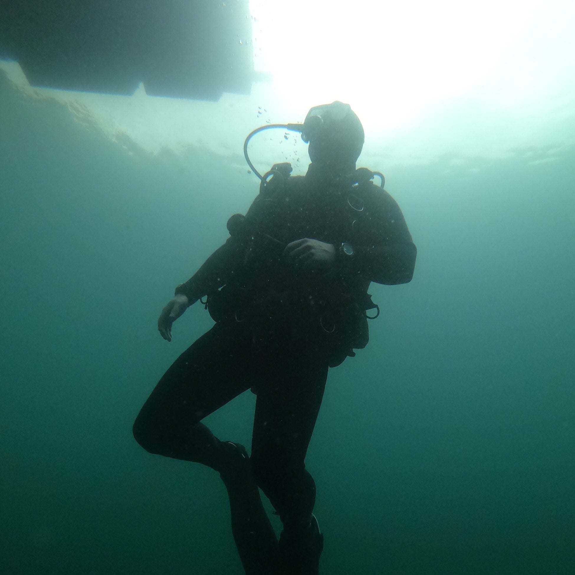 OSAR-D Family – Marathon Watch