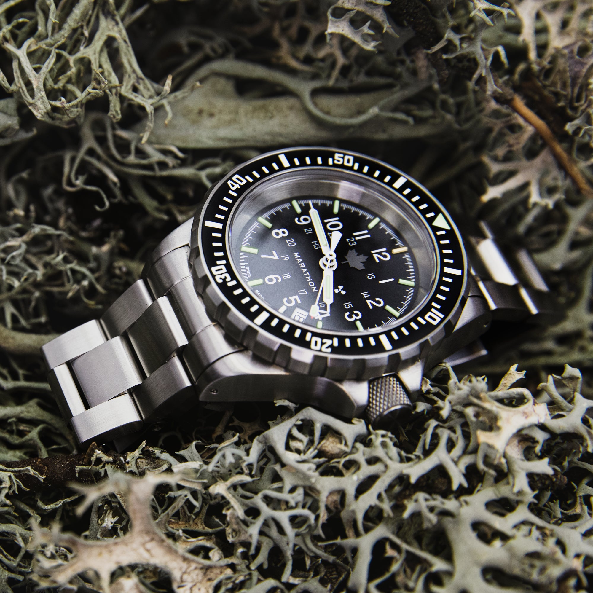 41mm Grey Maple Large Diver's Automatic (GSAR) with Stainless Steel Br ...