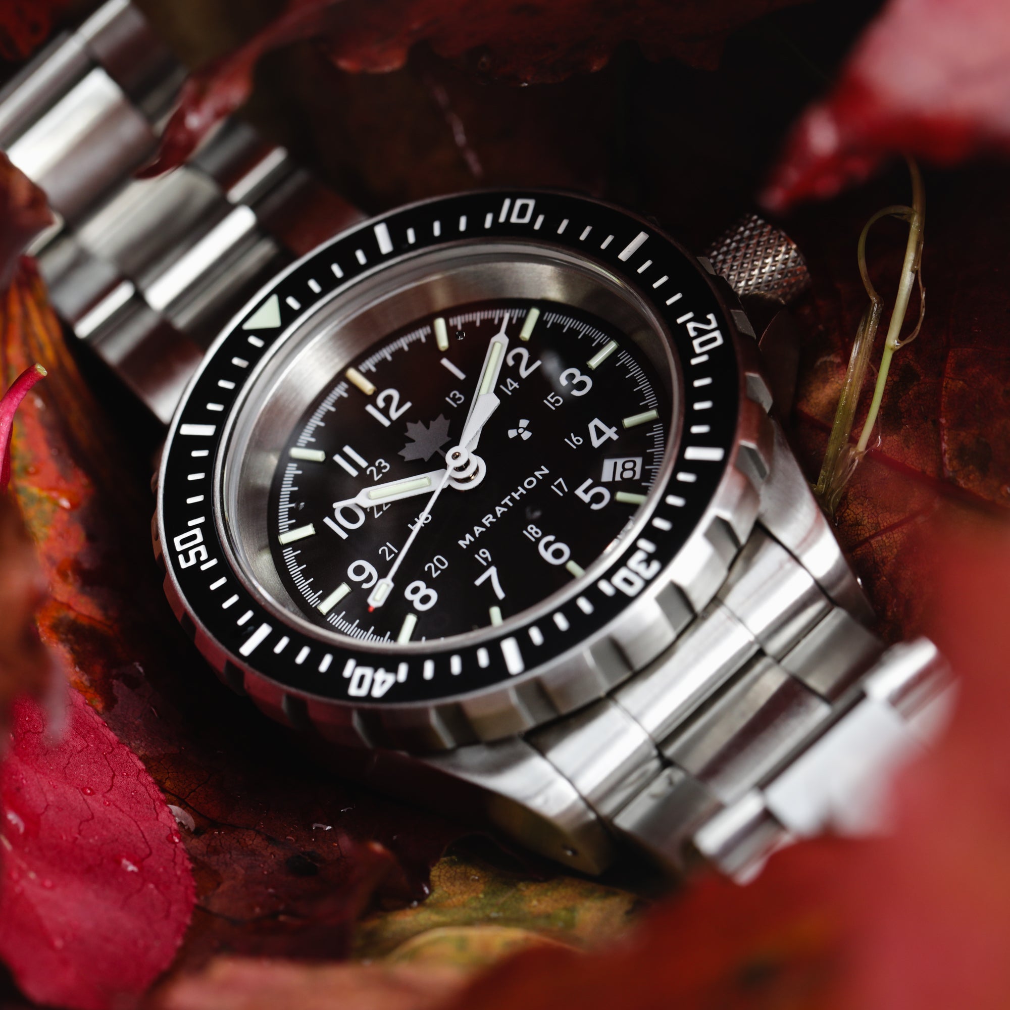 41mm Grey Maple Large Diver's Automatic (GSAR) with Stainless Steel Br ...