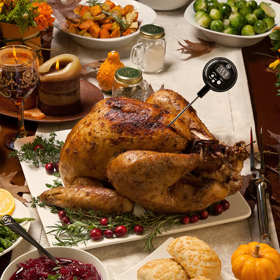 Digital Instant Read Probe Thermometer - Marathon Watch Company